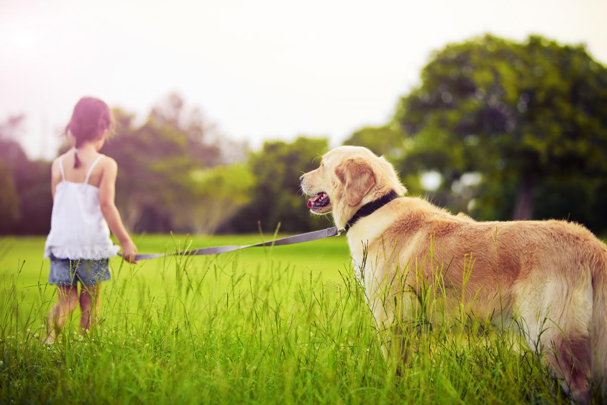 How To Take Care Of Pets Naturally | Pets Colony